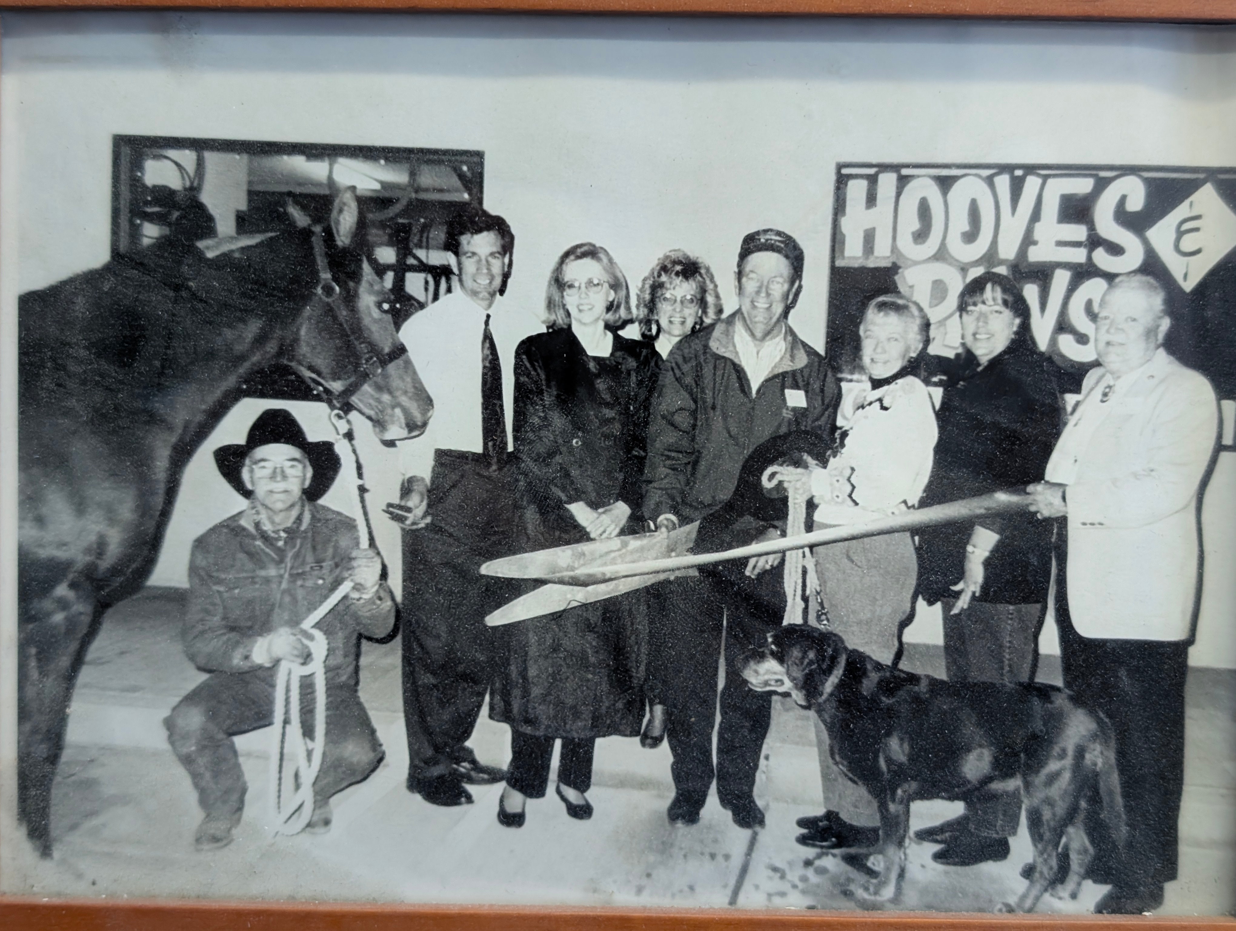 About Us | Hooves & Paws
